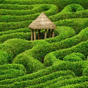 China’s war labyrinth - SettimanaNews