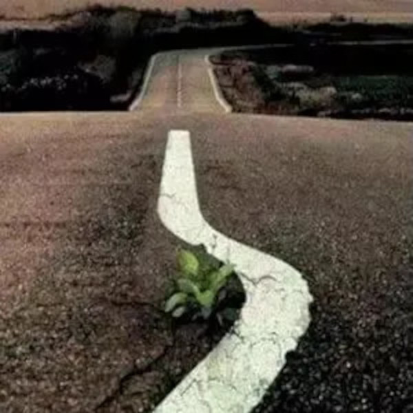 Il regno di Dio secondo papa Francesco - SettimanaNews